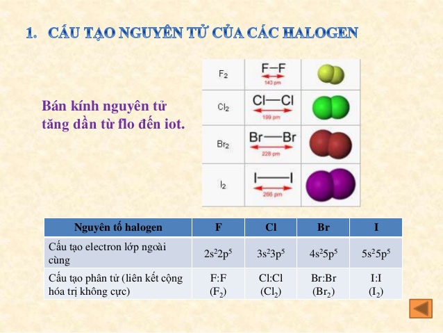 Khí Halogen Là Gì? Tìm Hiểu Về Khí Halogen Là Gì?