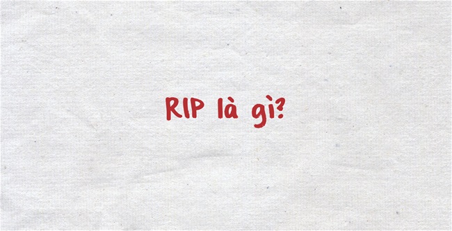 RIP Là Gì? Tìm Hiểu Về RIP Là Gì?