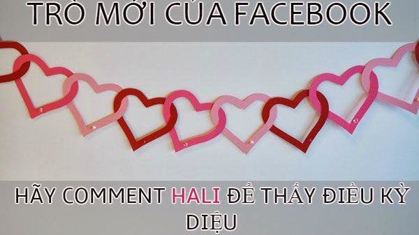 Hali Là Gì? Tìm Hiểu Về Hali Là Gì?