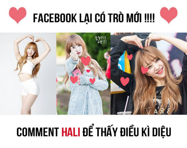 Hali Là Gì? Tìm Hiểu Về Hali Là Gì?